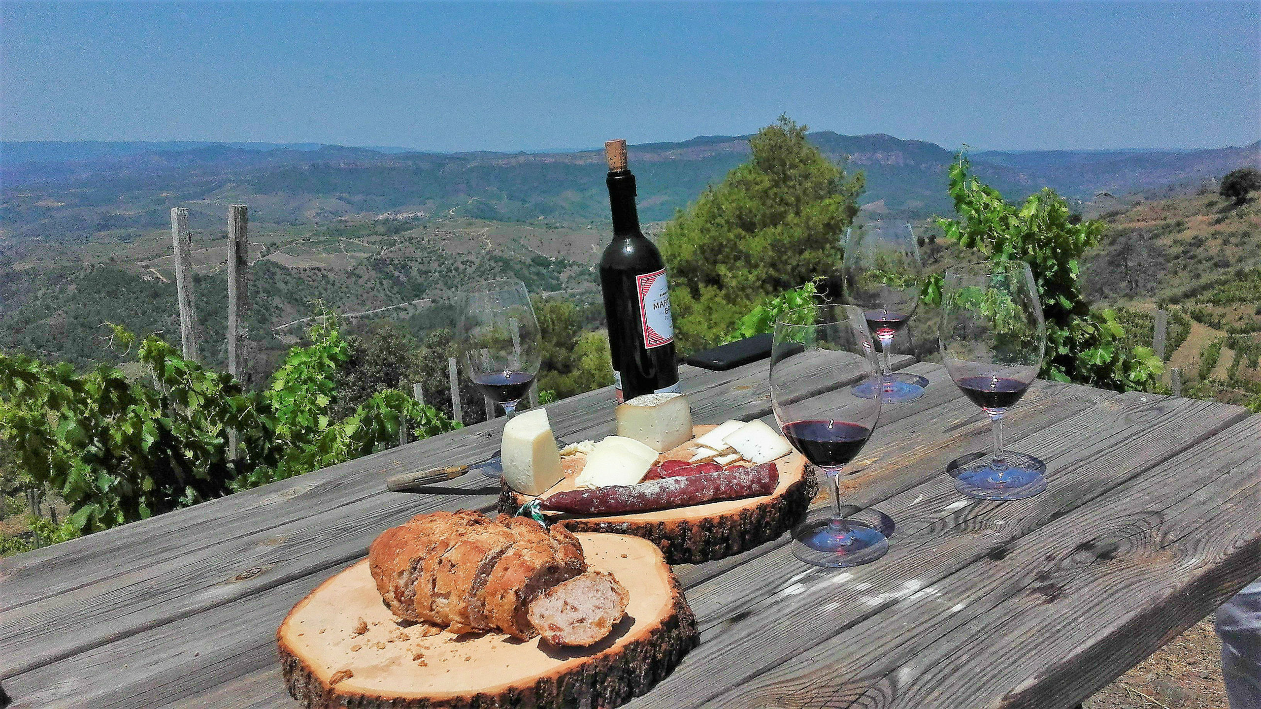 PRIORAT PIONEERS WINE TOUR & GOURMET TOUR - BarcelonaByRoad.com